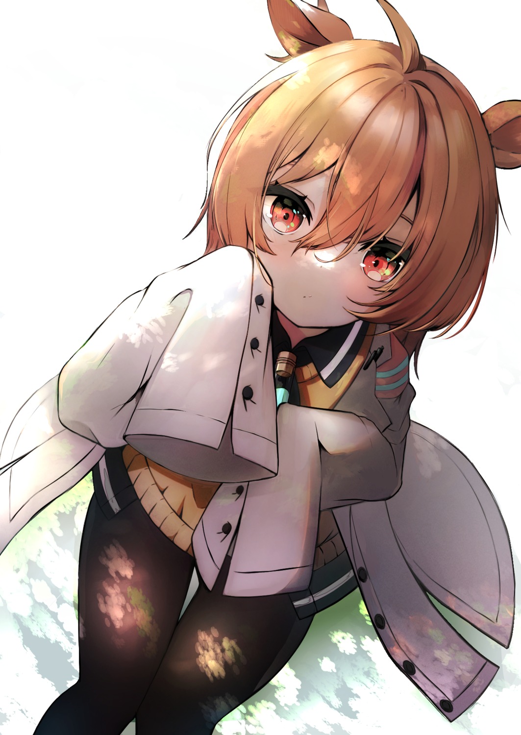 uma musume pretty derby agnes tachyon (umamusume) animal ears pantyhose sweater tagme tail ...